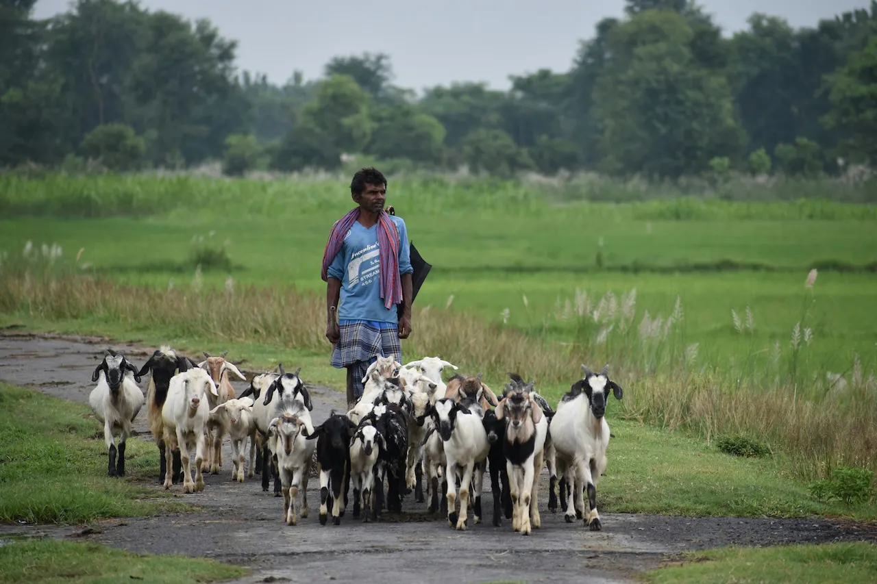 Rang De