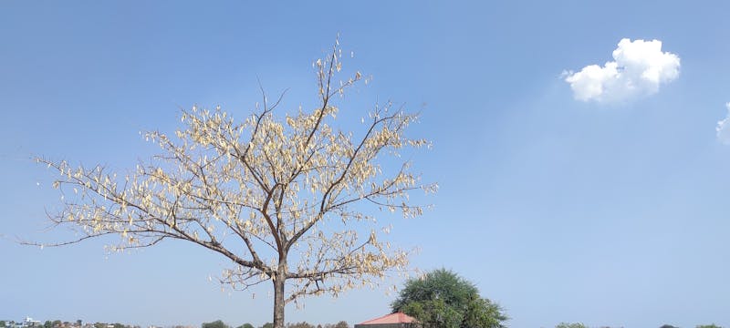 Prashant Kiran | I’m a Rang De Social Investor